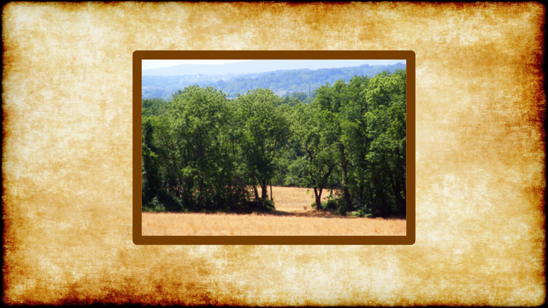 Our Newsletters – Camp Security